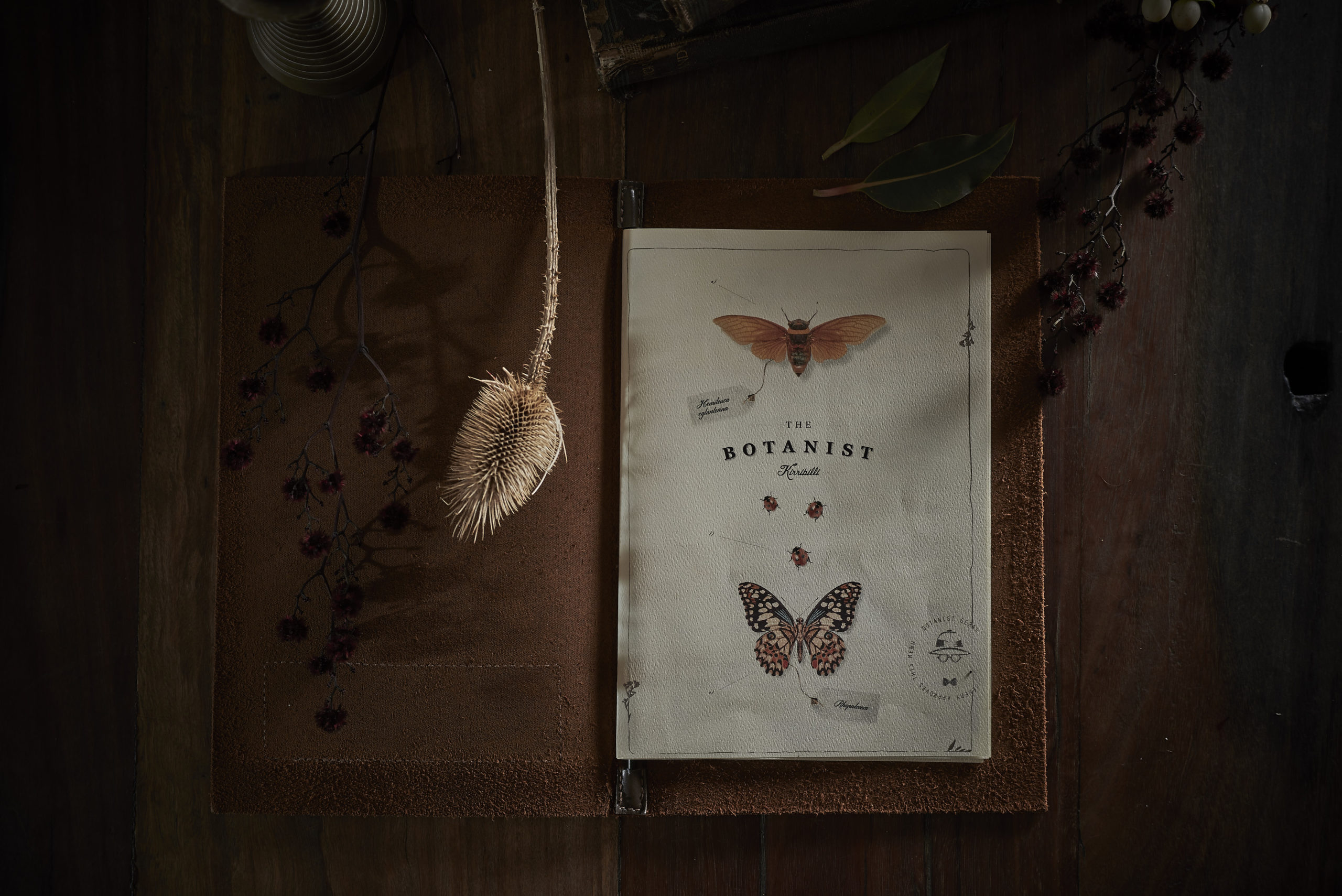 Blog - The Botanist Kirribilli